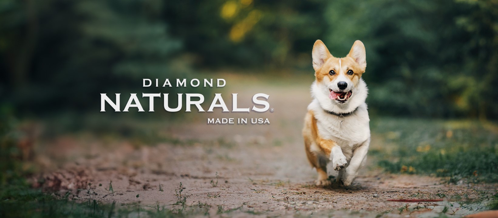 Diamond Pet Food Thailand